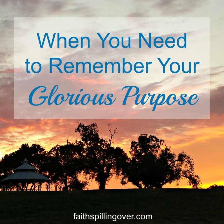 When You Need to Remember Your Glorious Purpose - Faith Spilling Over