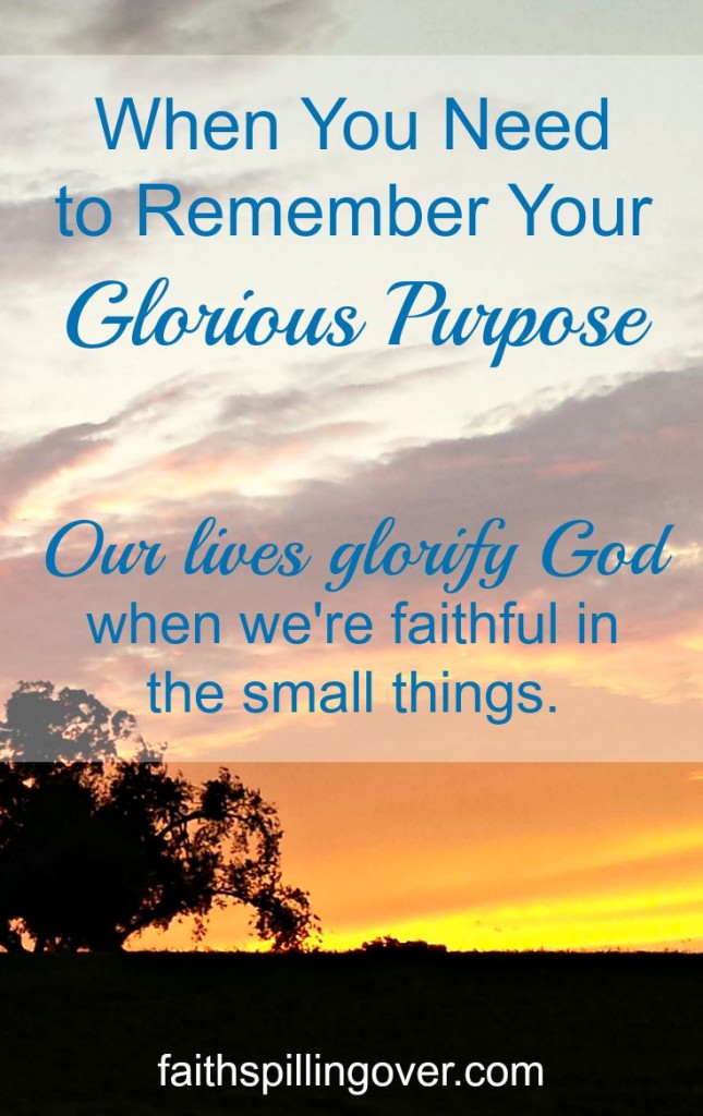 When You Need to Remember Your Glorious Purpose - Faith Spilling Over