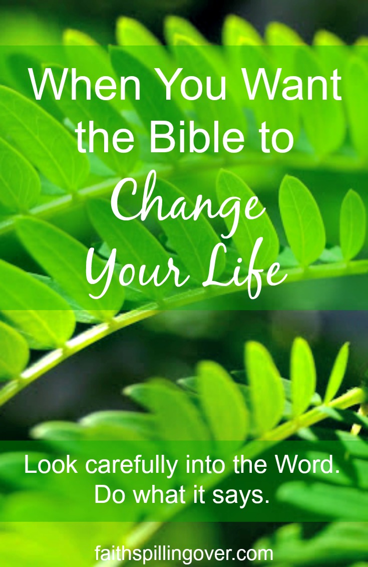 When You Want the Bible to Change Your Life - Faith Spilling Over