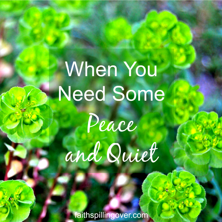 When You Need Some Peace and Quiet - Faith Spilling Over