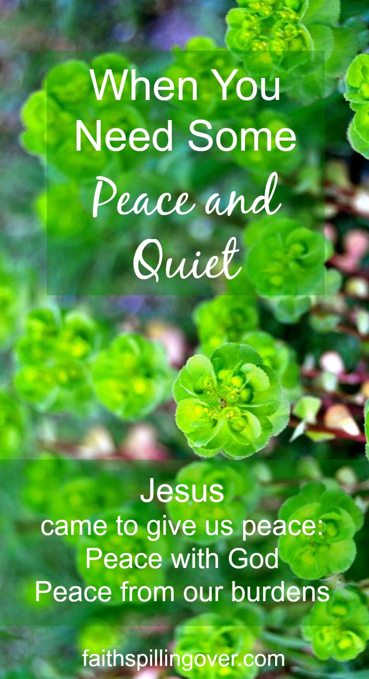 When You Need Some Peace and Quiet - Faith Spilling Over