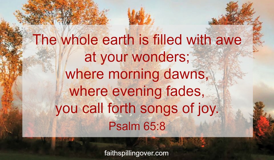 Want to Reconnect to the Wonder of Life? - Faith Spilling Over