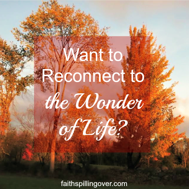 Want to Reconnect to the Wonder of Life? - Faith Spilling Over