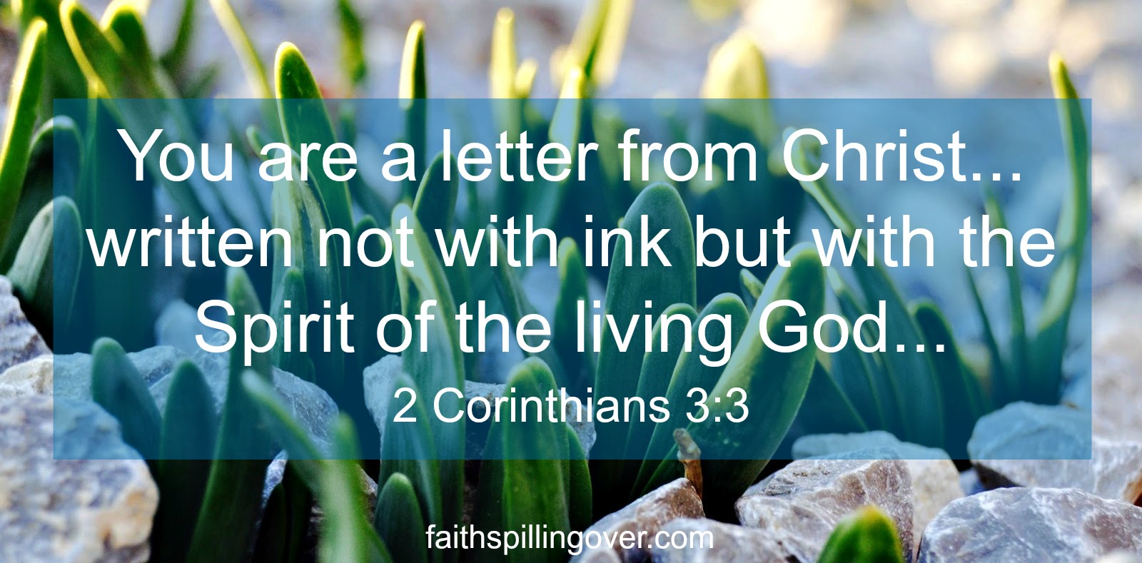 When You Want to Look More Like Jesus - Faith Spilling Over